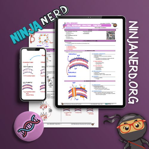 Cell Membrane Structure And Function Notes Ninjanerd Medicine